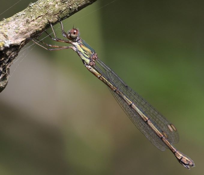 August 2025 - Packington Estate